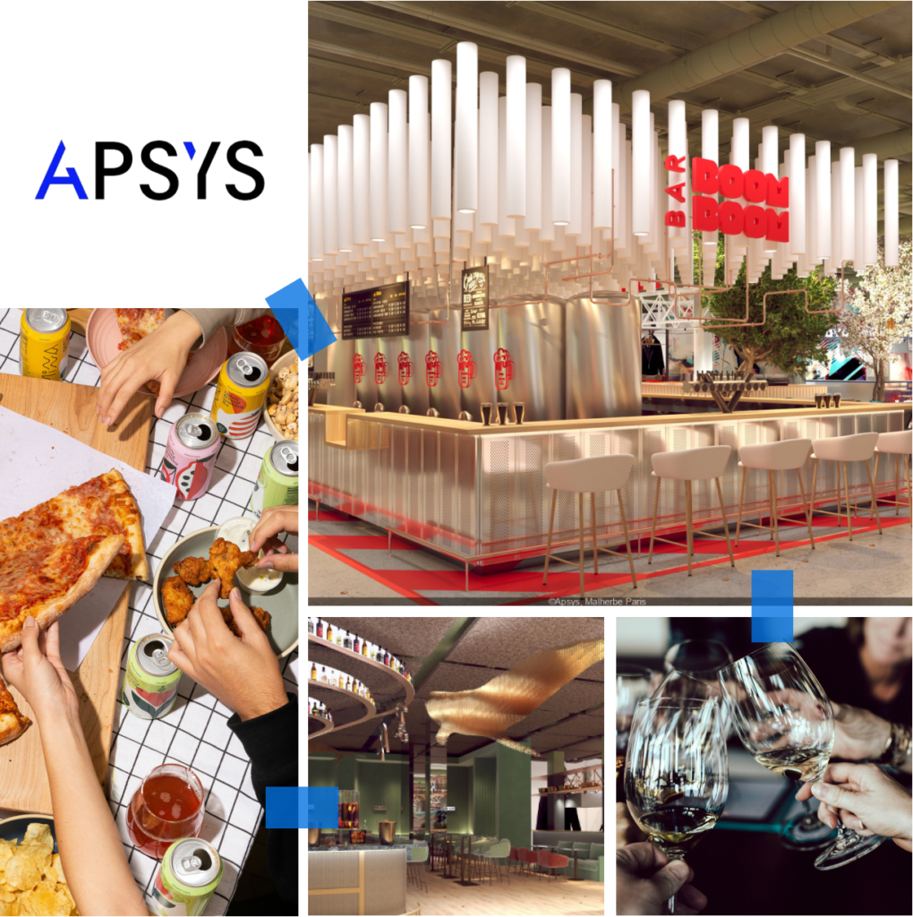 APSYS FRANCE, BOOM BOOM VILLETTE - Depur Experiences